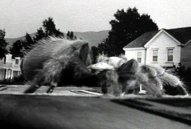 Earth vs the Spider (1958) – Jiggy's Horror Corner