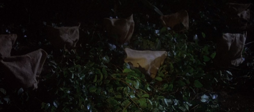 Motel Hell (1980) – Jiggy's Horror Corner