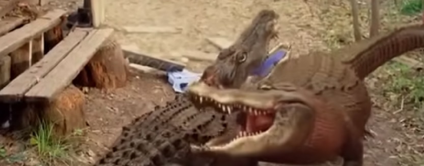 Ragin Cajun Redneck Gators (2013) – Jiggy's Horror Corner