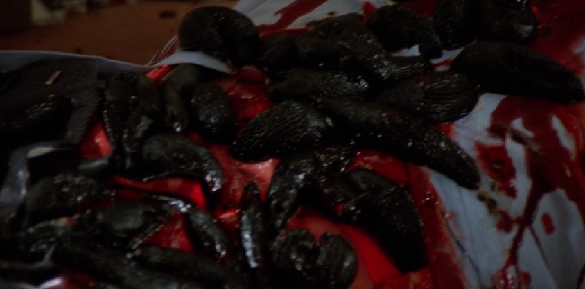 Slugs, muerte viscosa (1988) – Jiggy's Horror Corner