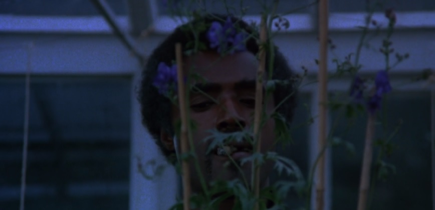 The Beast Must Die (1974) – Jiggy's Horror Corner